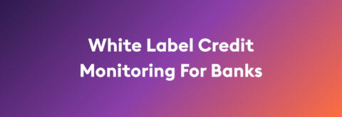 How to Choose the Best White‑Label Credit Monitoring Platform for Your ...